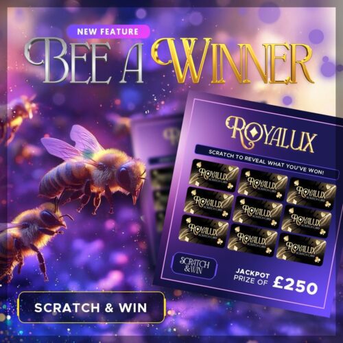 Competitions - Royalux Competitions